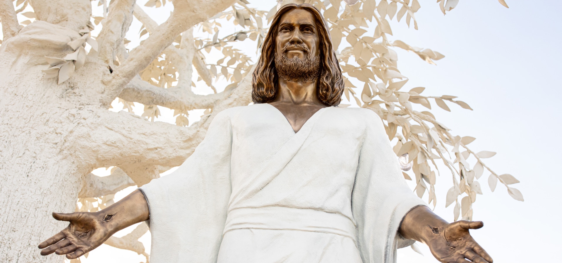 The Tree of Life - Deseret First Credit Union